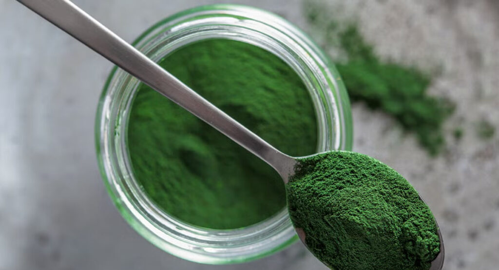 Chlorella: 6 Amazing Health Benefits - Georges Menu
